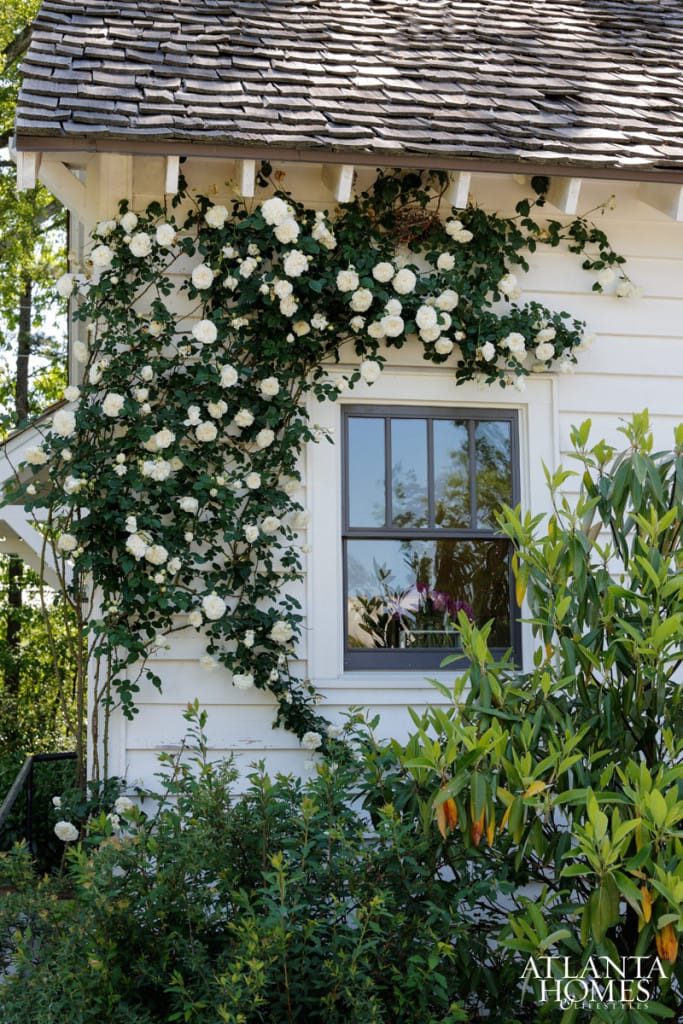 Studio Visit: Alex Smith Garden Design - Atlanta Homes and Lifestyles