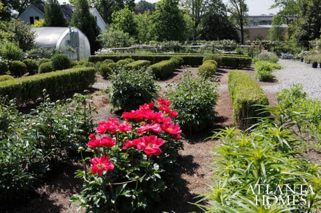 Studio Visit: Alex Smith Garden Design - Atlanta Homes and Lifestyles