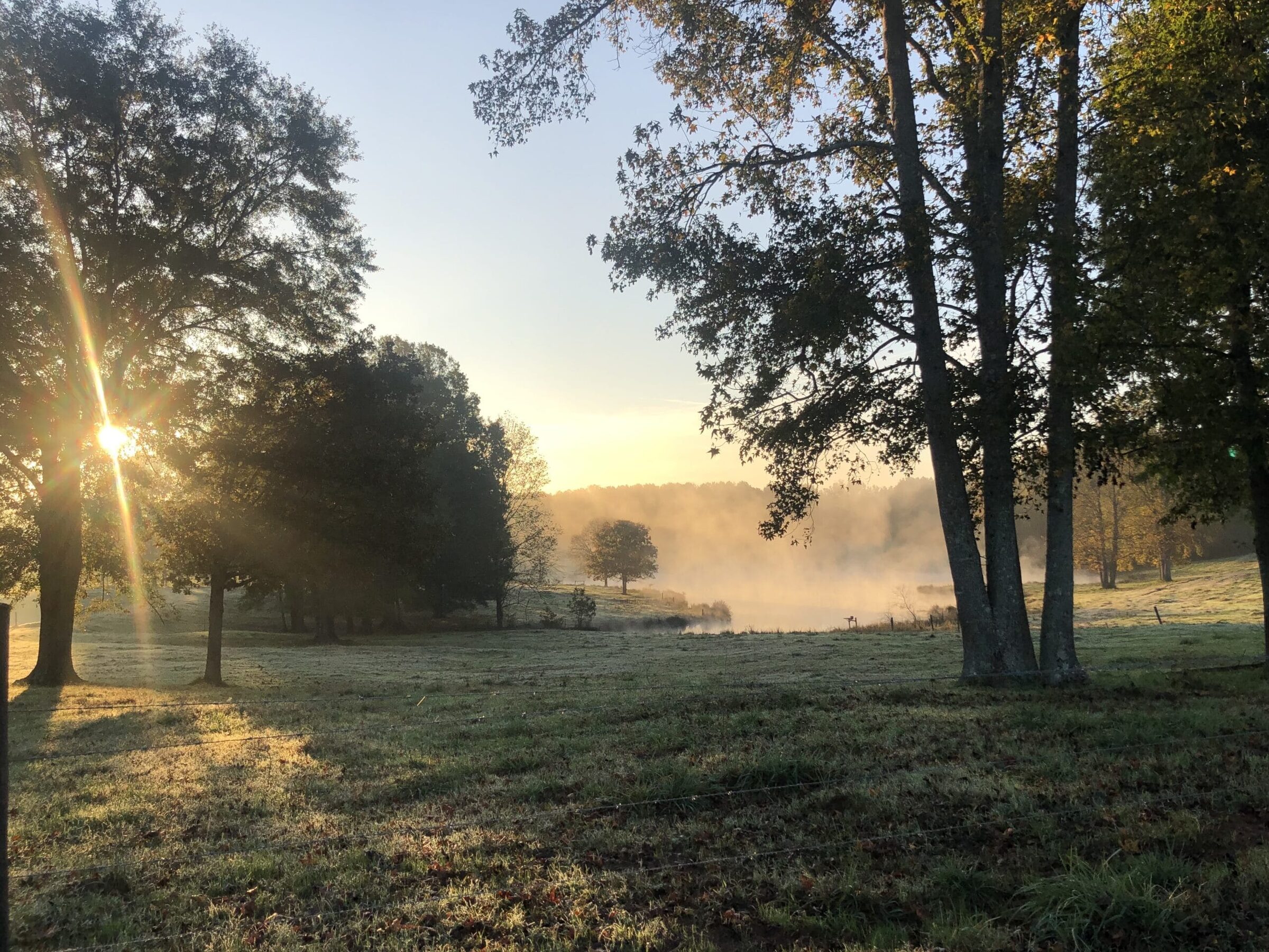Our Best of May | Atlanta Homes and Lifestyles